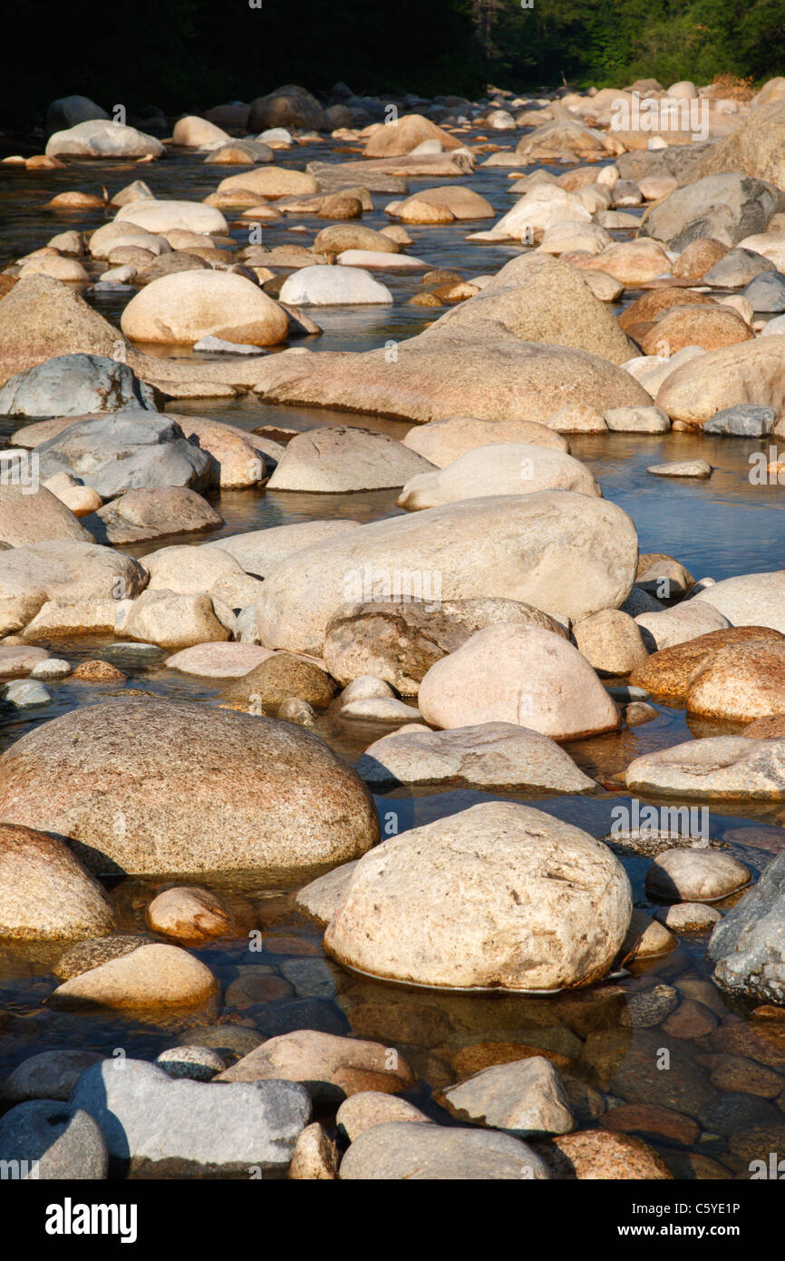 East Branch of the Pemigewasset River during the summer months in ...