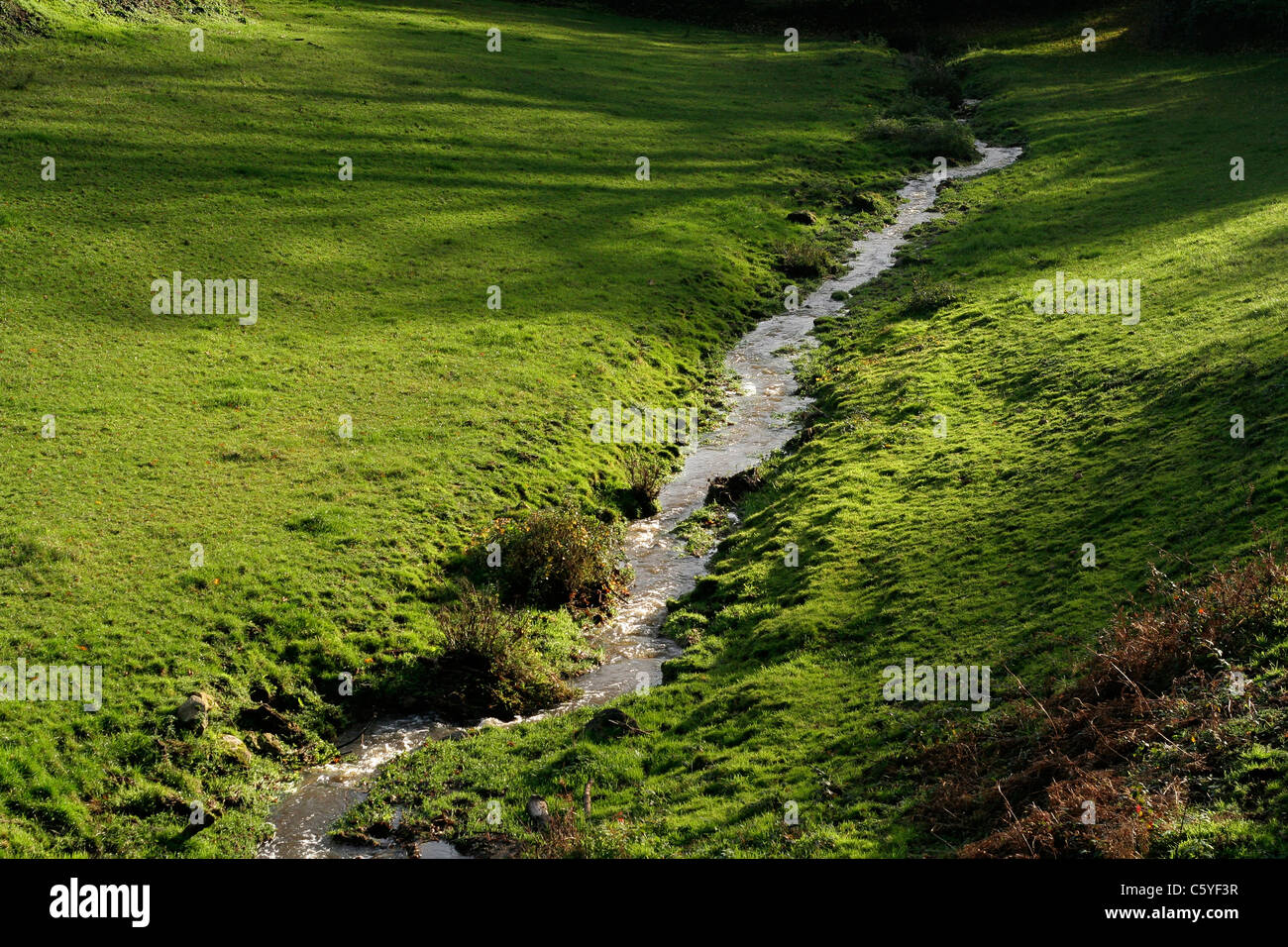 A small stream flows through a meadow (Mayenne, north, Pays de la Loire ...