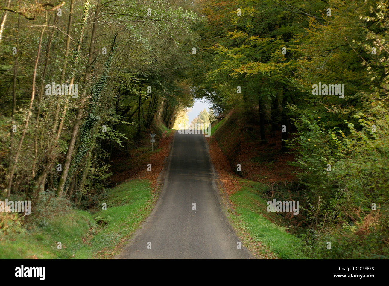 France normandy forest hi-res stock photography and images - Alamy