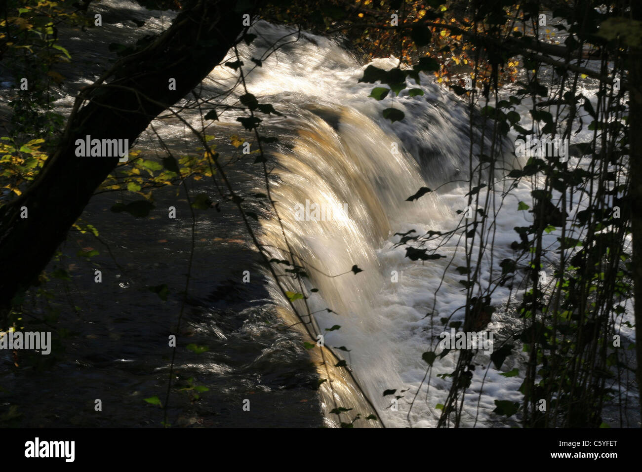A small dam on a river. River La Varenne (Orne, Normandy, France Stock ...