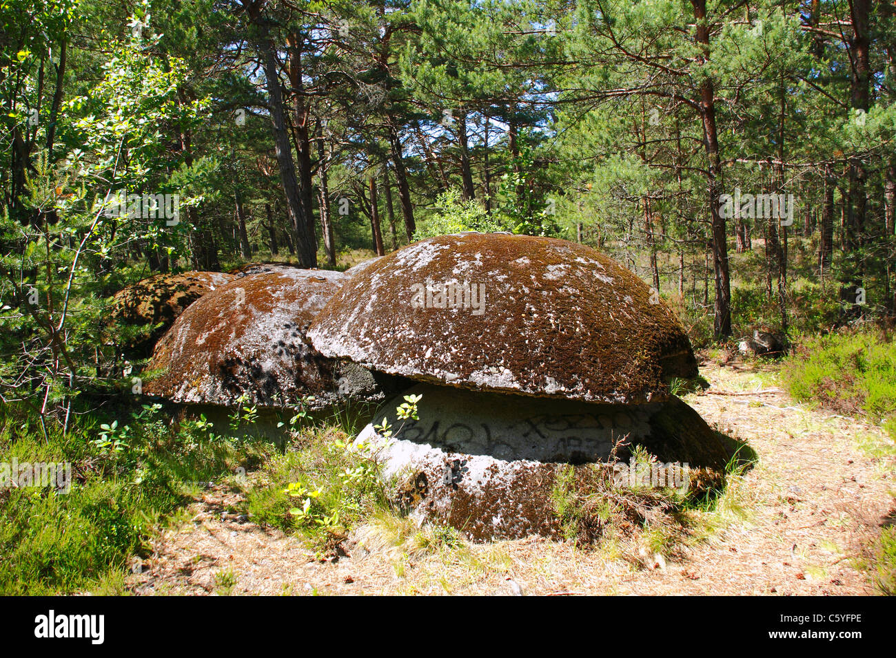 Concrete bunkers hi-res stock photography and images - Alamy