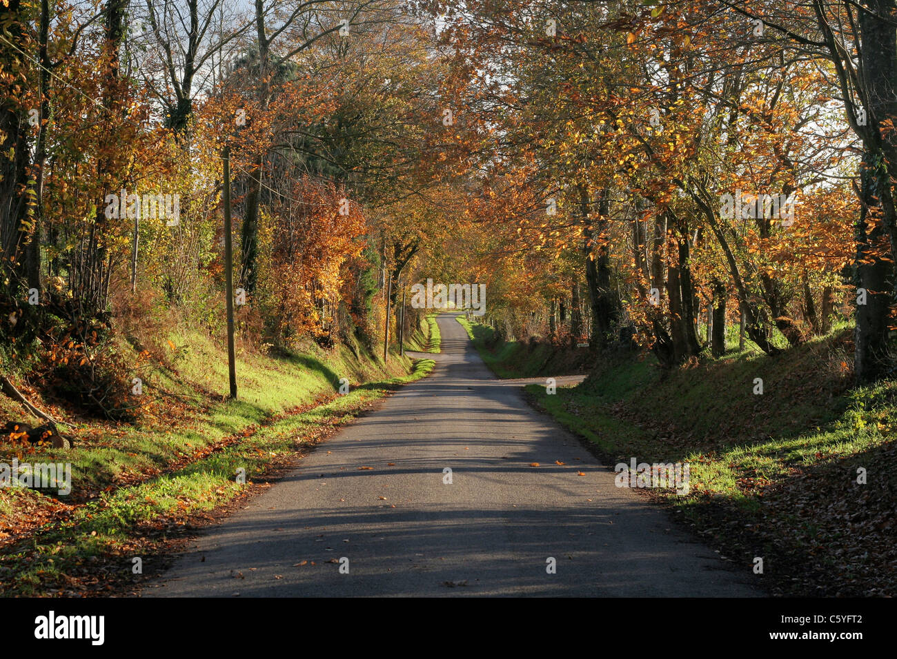 Normandy hedgerows hi-res stock photography and images - Alamy