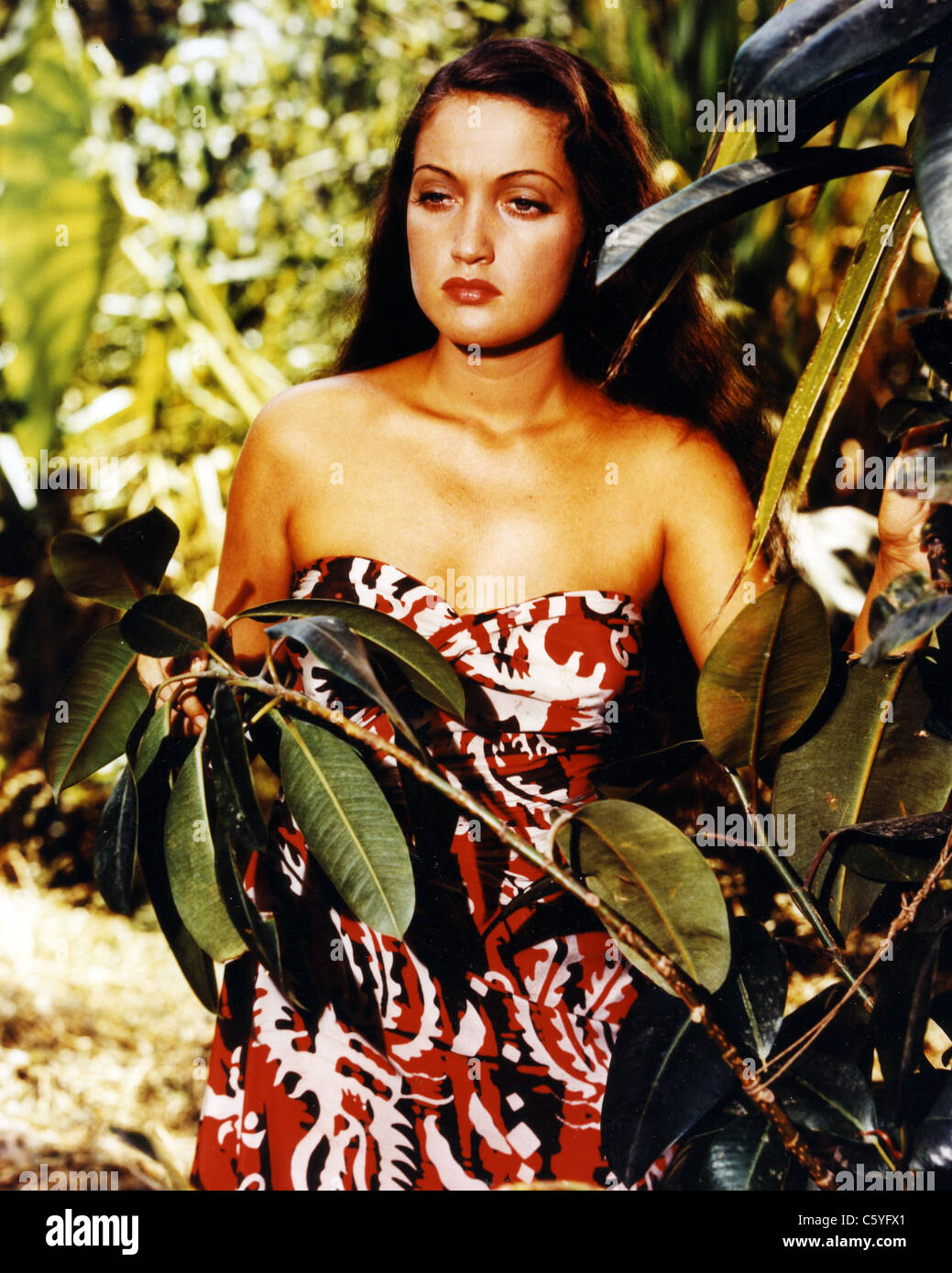 Jangal Love Wallpapers