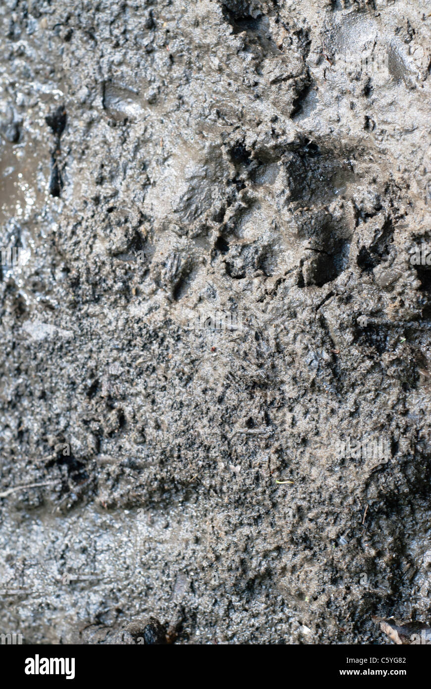 Mud slime hi-res stock photography and images - Alamy