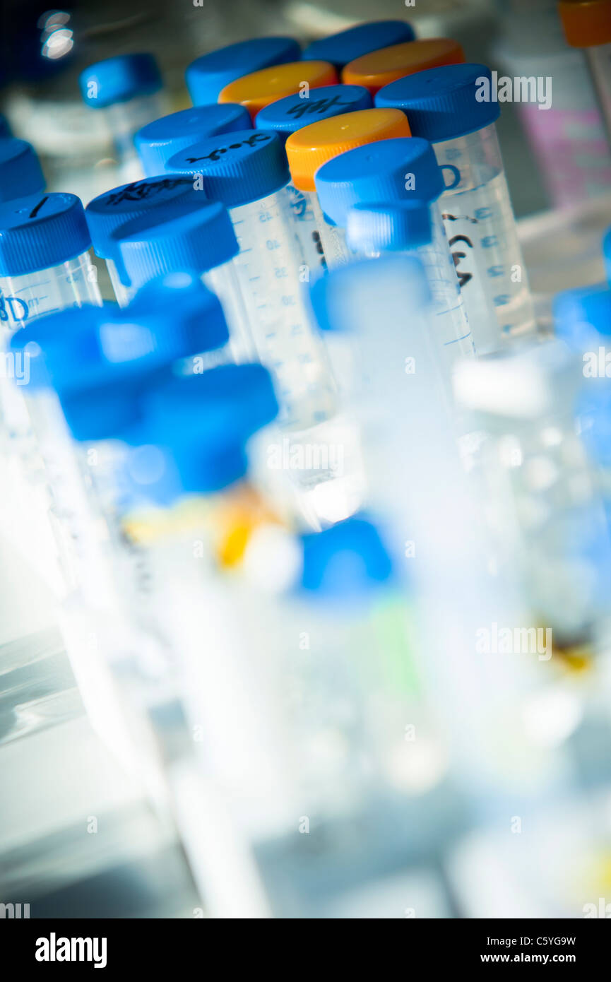 glass test tubes with colored tops on bench side in science laboratory ...