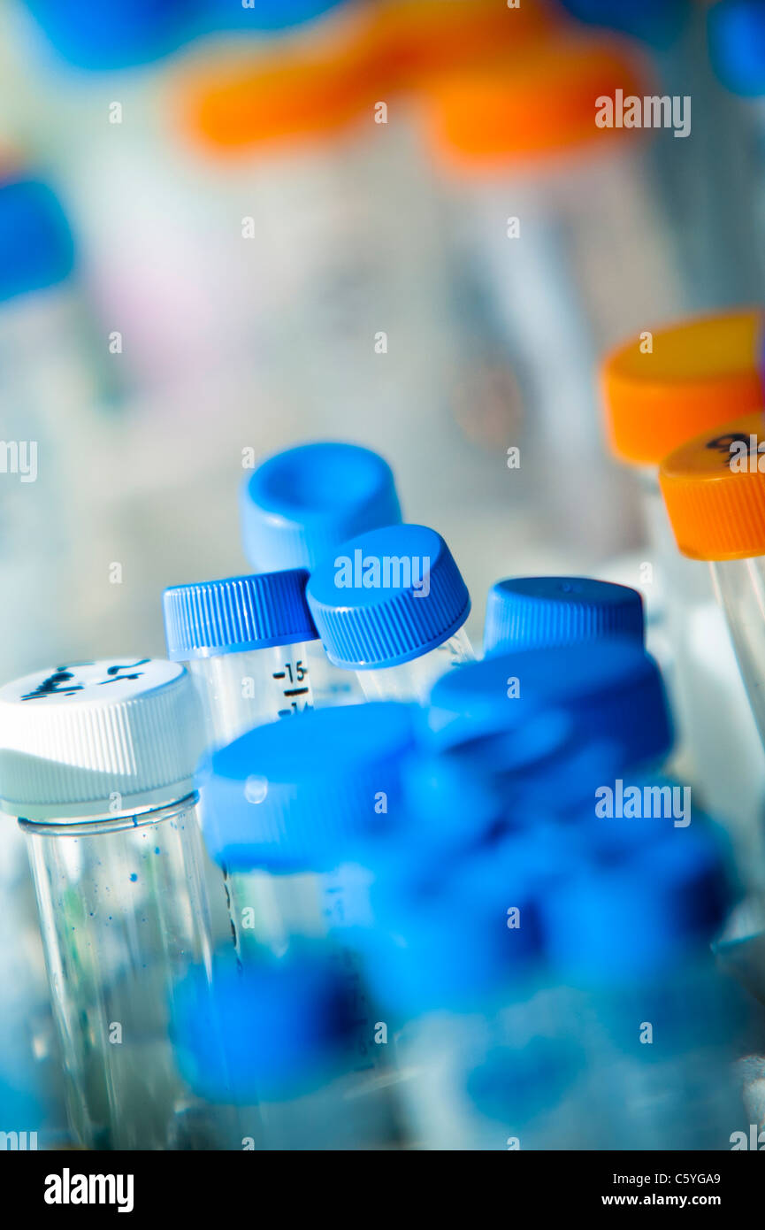 glass test tubes with colored tops on bench side in science laboratory ...