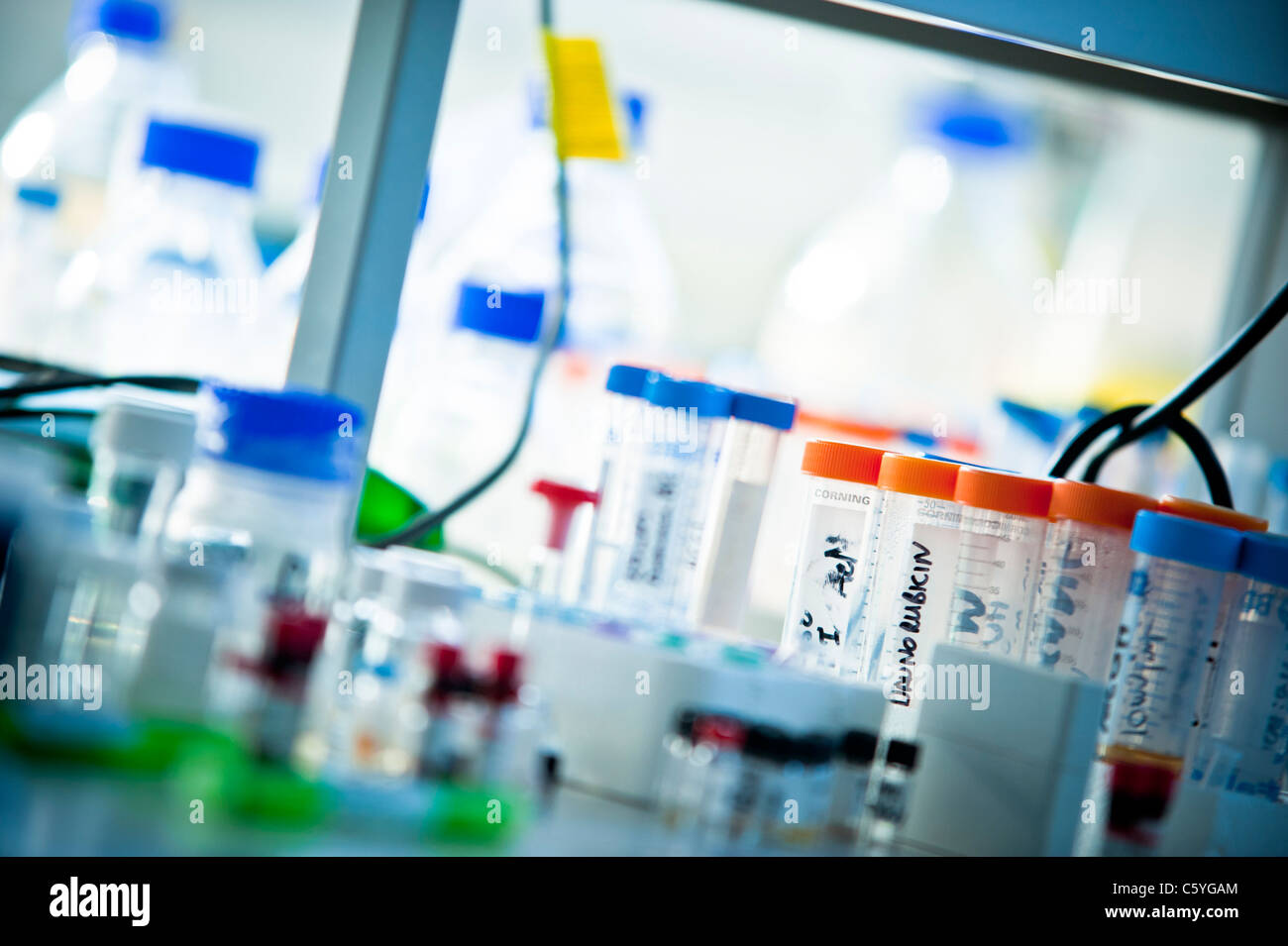 glass test tubes with colored tops on bench side in science laboratory ...