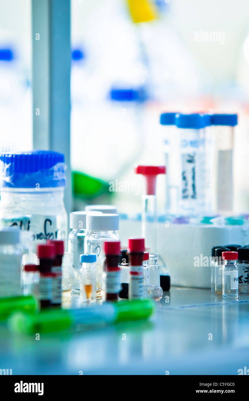 glass test tubes with colored tops on bench side in science laboratory ...