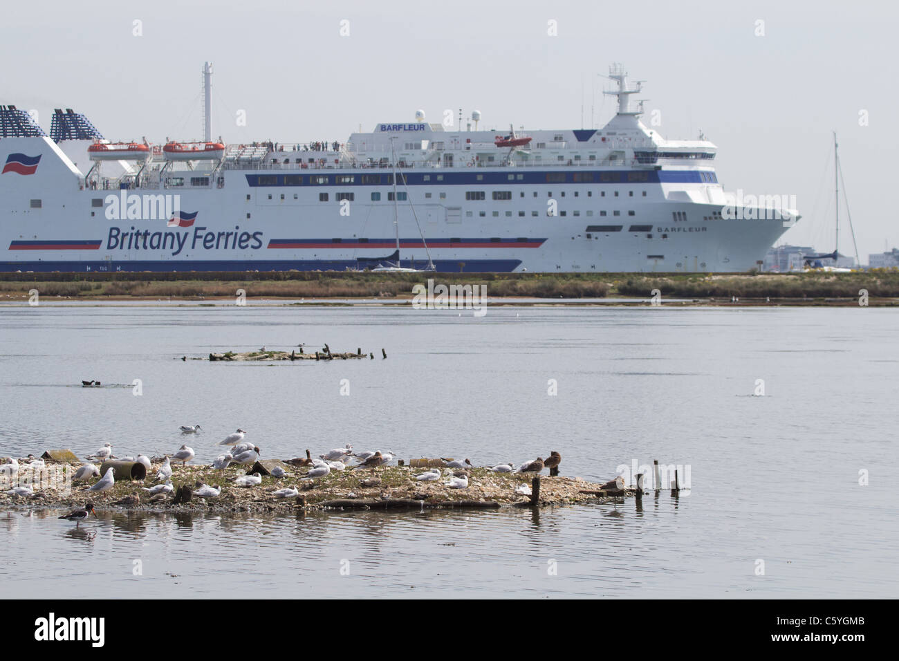 Brownsea island ferries hi-res stock photography and images - Alamy