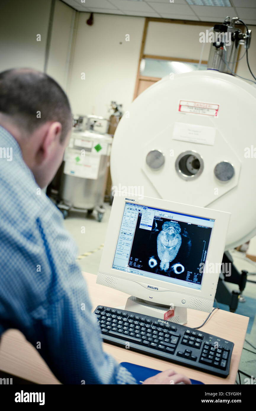 Small bore mri scanner hi-res stock photography and images - Alamy