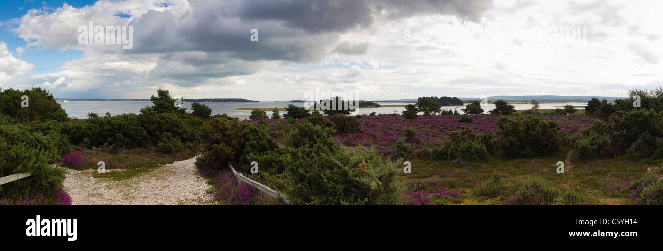 View of Poole Harbour from Shipstal Point looking south. Arne, Dorset ...