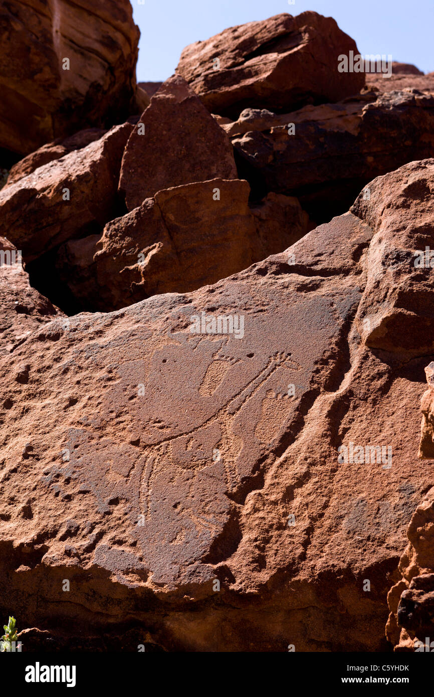 Giraffe footprint hi-res stock photography and images - Alamy