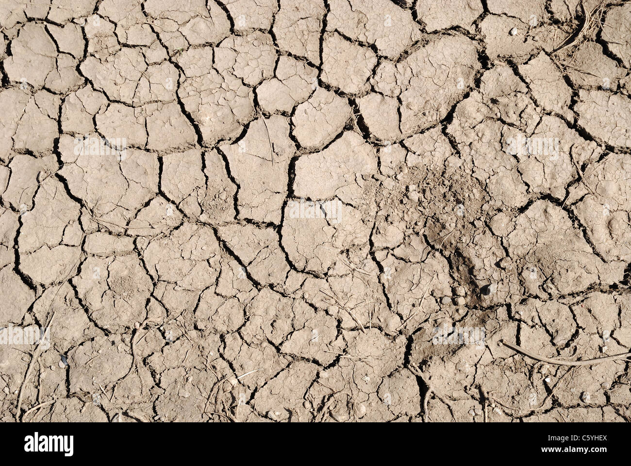 Clay loam soil hi-res stock photography and images - Alamy