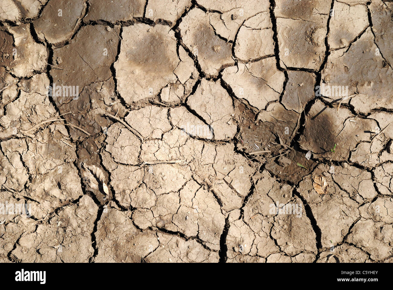 Close-up of scorched earth Stock Photo - Alamy