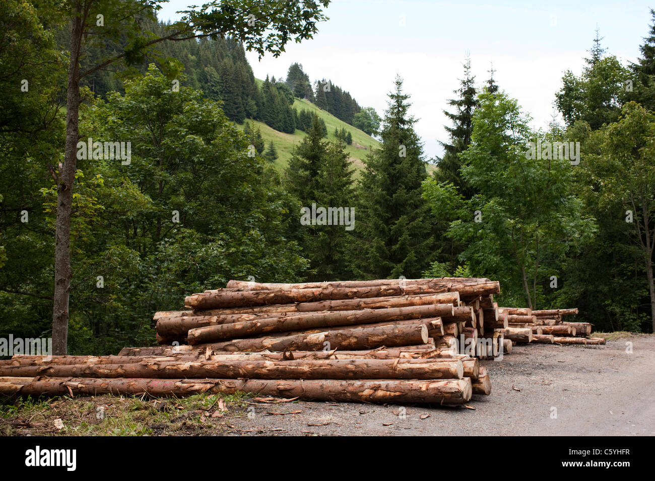 Felled trees in the woods above Champery, Switzerland Stock Photo - Alamy