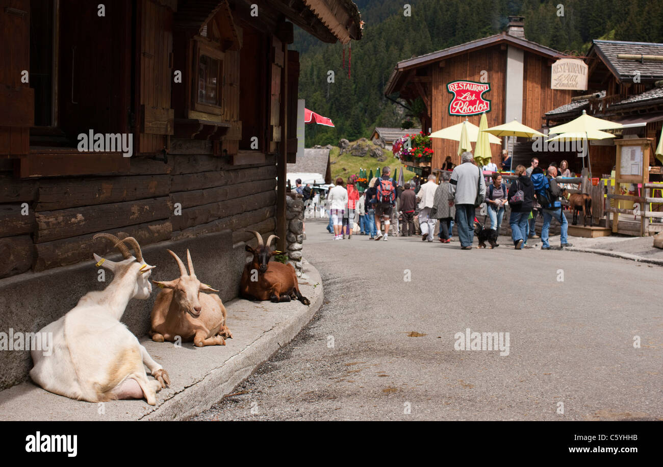 Les lindarets avoriaz hi-res stock photography and images - Alamy