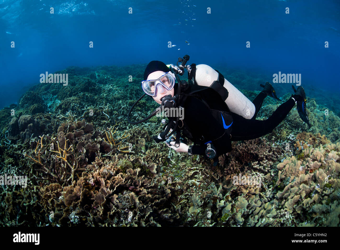 Field underwater hi-res stock photography and images - Alamy