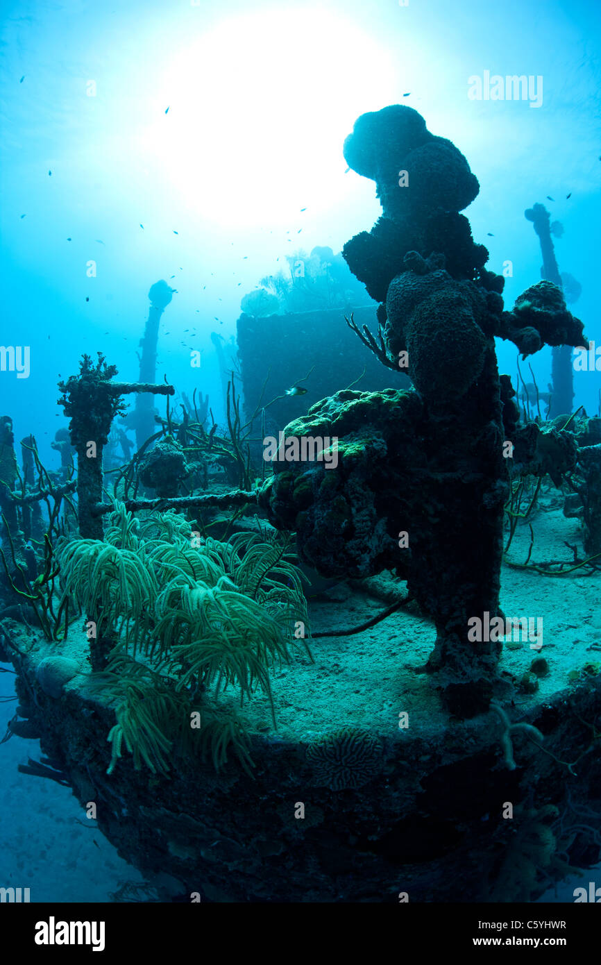 Coral and fish on the Prince Albert wreck off the island of Roatan ...