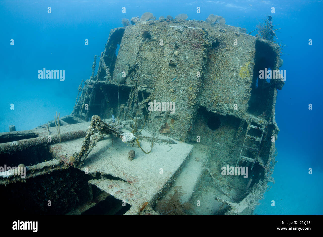 The Prince Albert wreck off the island of Roatan, Honduras Stock Photo ...