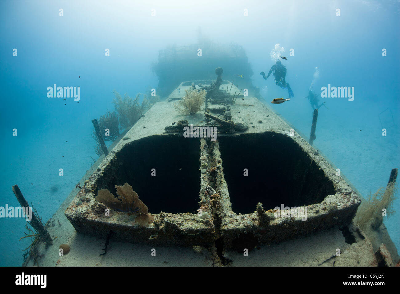 The Prince Albert wreck off the island of Roatan, Honduras Stock Photo ...