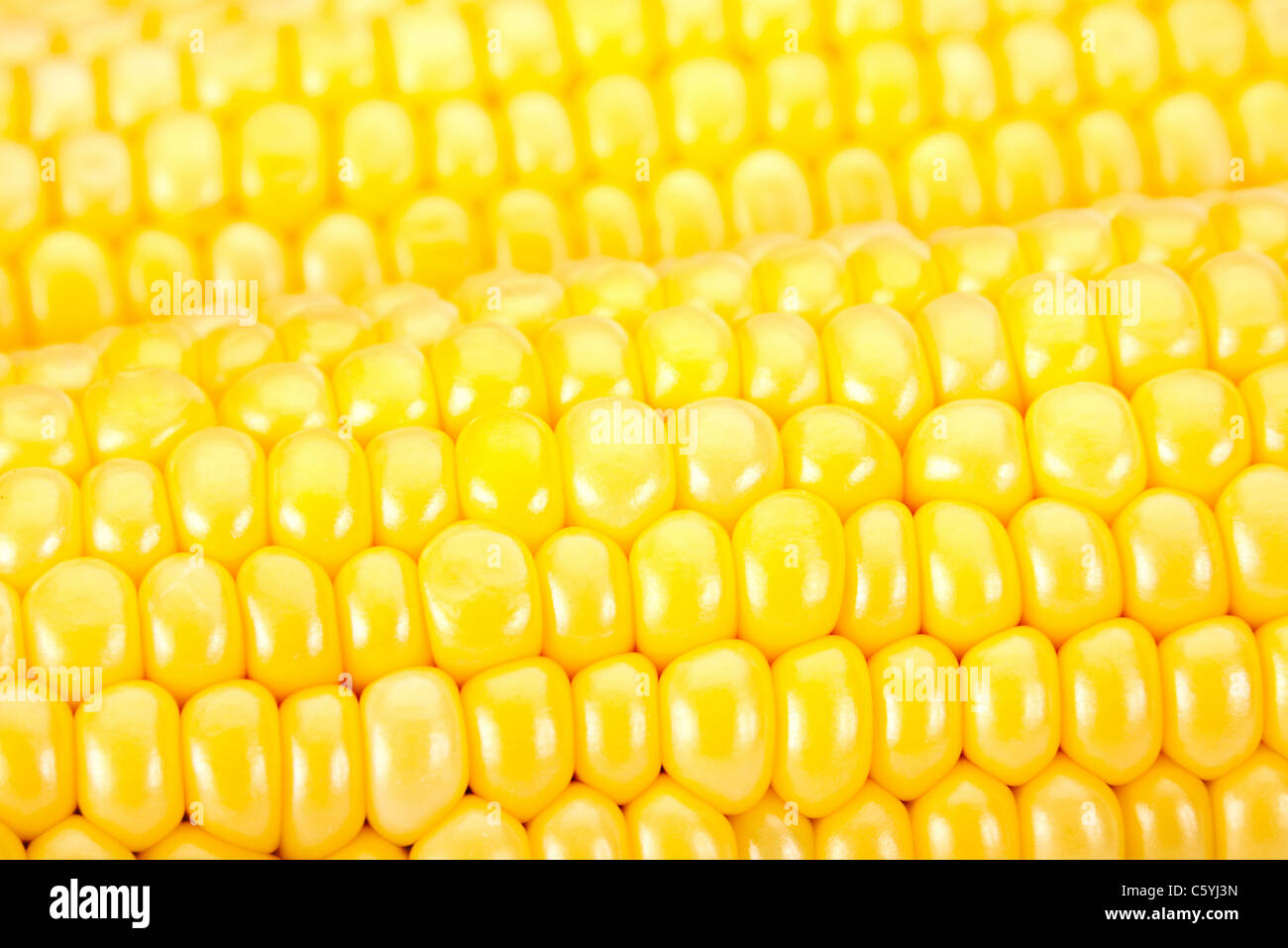Sweet corn ripe vegetable closeup view background Stock Photo - Alamy