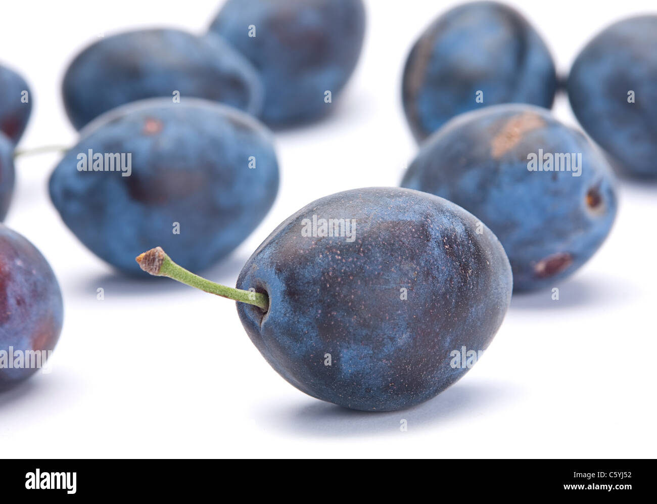 Blue ripe plum fruit closeup isolated on white Stock Photo - Alamy