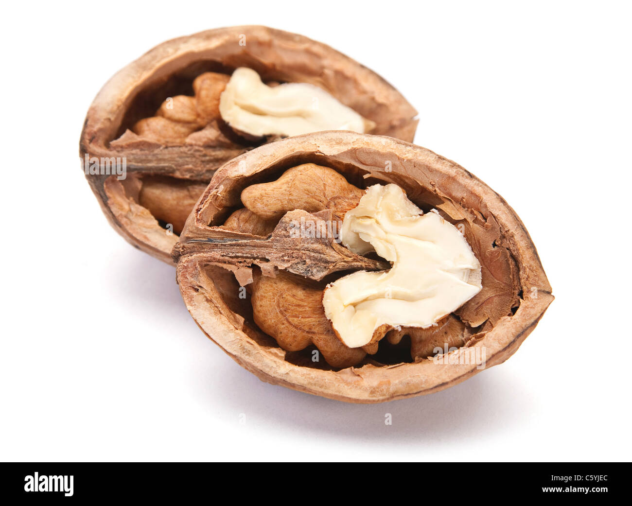 Walnut brown nut closeup on white background Stock Photo - Alamy