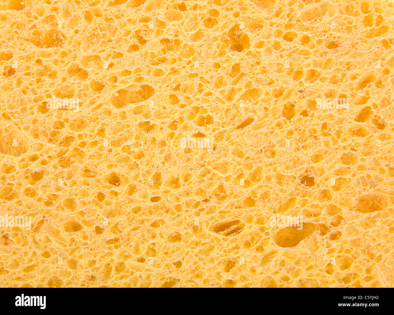 Sponge textured background Stock Photo - Alamy