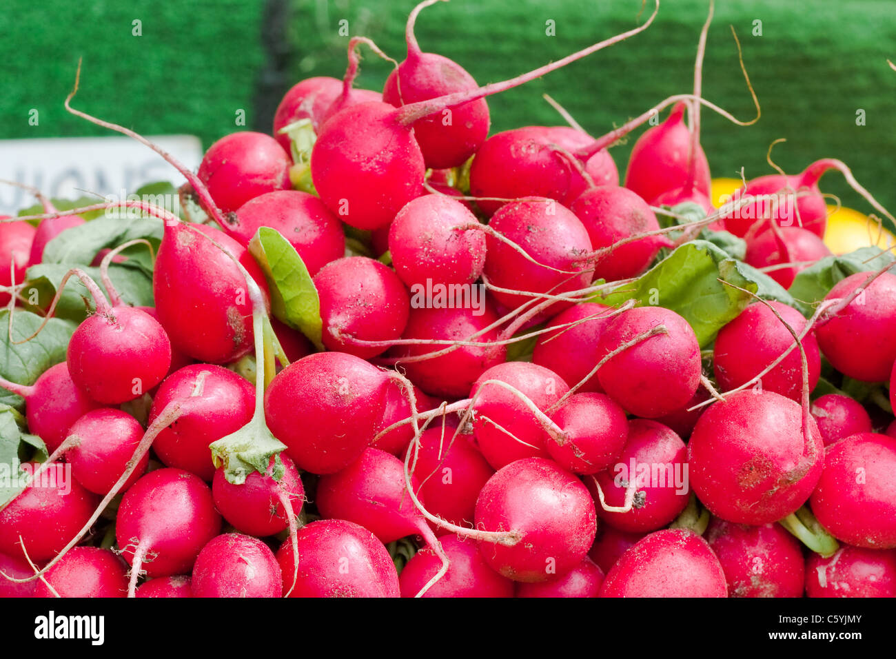 Many fresh radishes close hi-res stock photography and images - Alamy