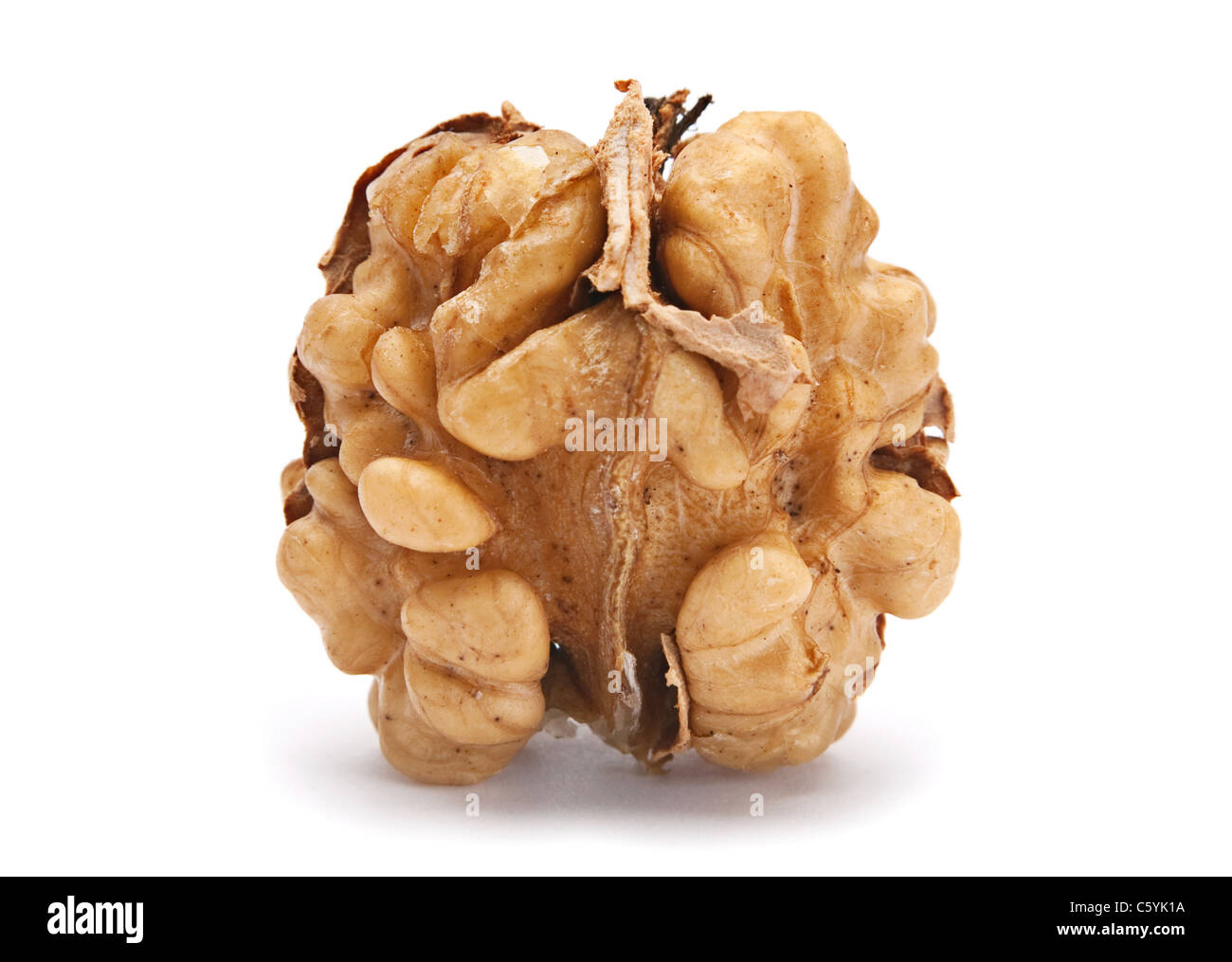 Walnut brown nut closeup isolated on white Stock Photo - Alamy