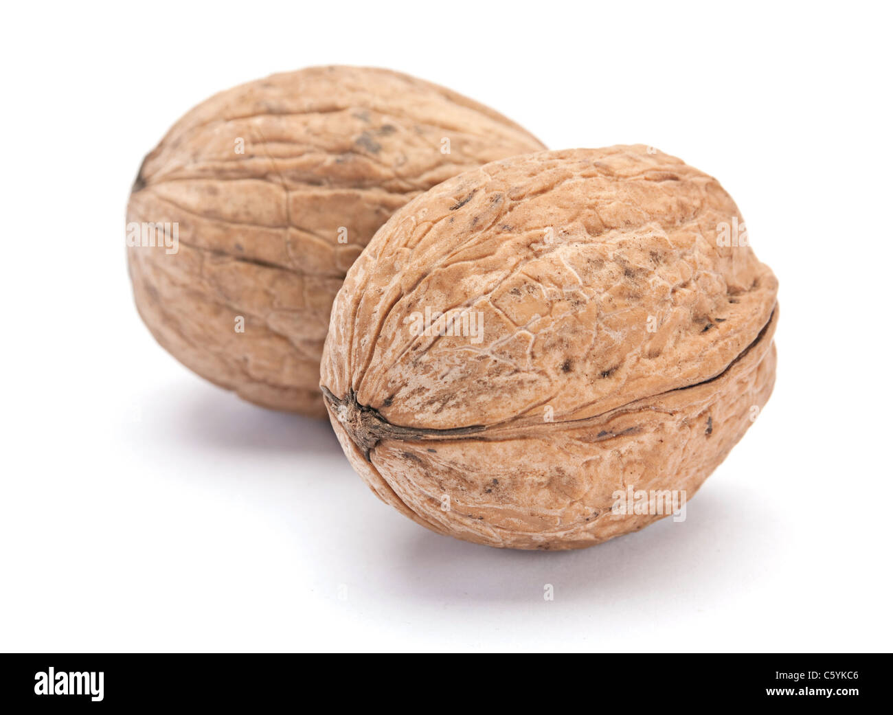 Walnut brown nut closeup on white background Stock Photo - Alamy