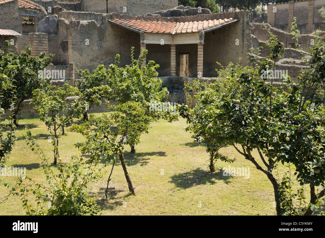 Pear orchard in the peristyle (courtyard) of The House of the Inn ...