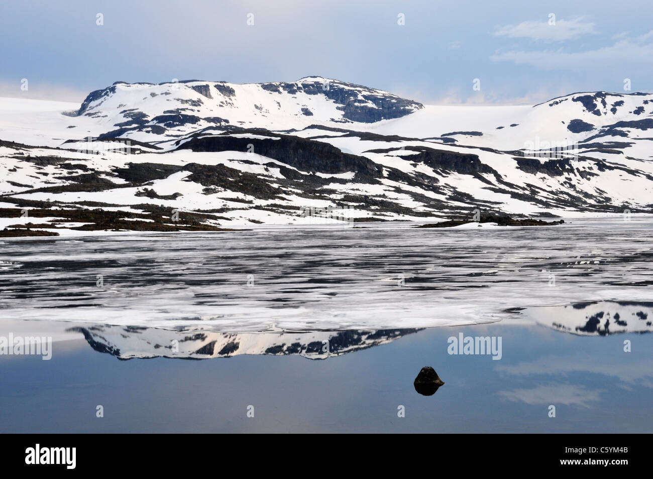 Norwegian landscape in summer near Finse, Hordaland, Norway Stock Photo ...