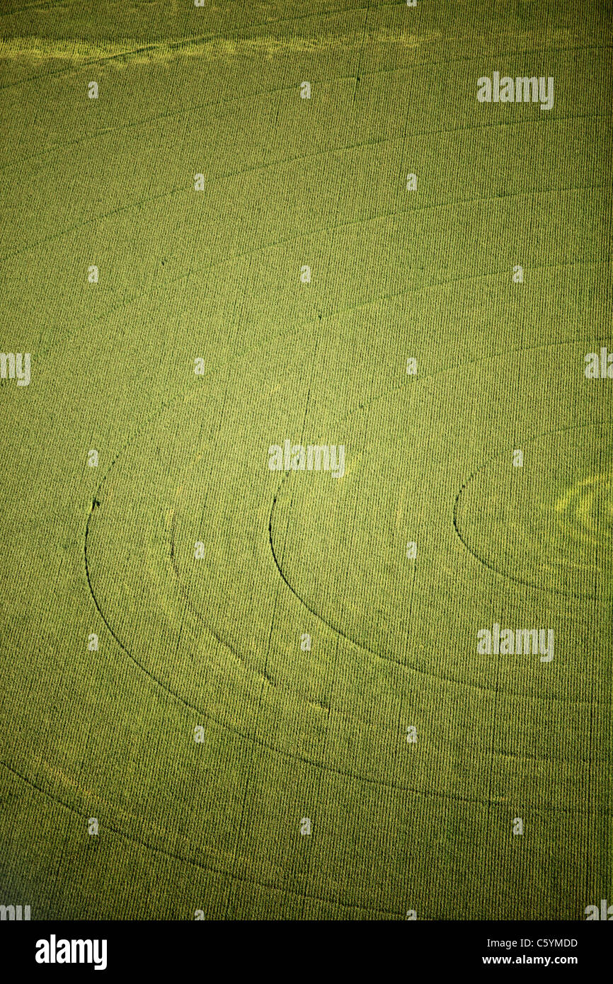 Irrigated farm land Stock Photo - Alamy