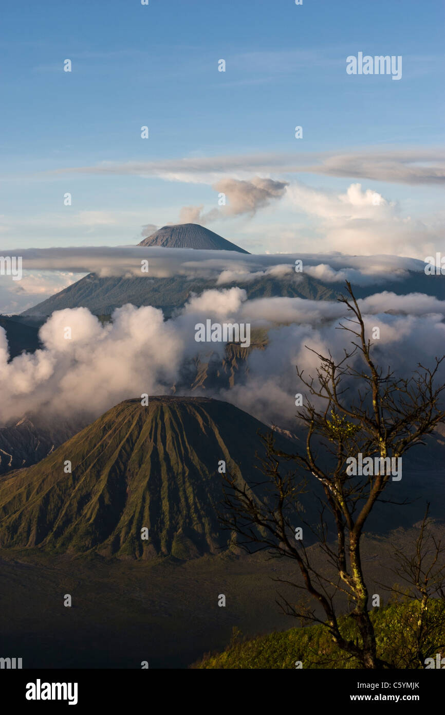 Volcanic Landscape of Mt Bromo in Indonesia Stock Photo - Alamy
