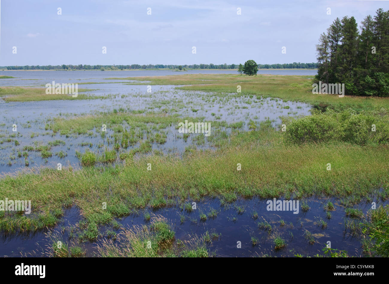 necedah wildlife refuge wetlands in juneau county of wisconsin Stock ...