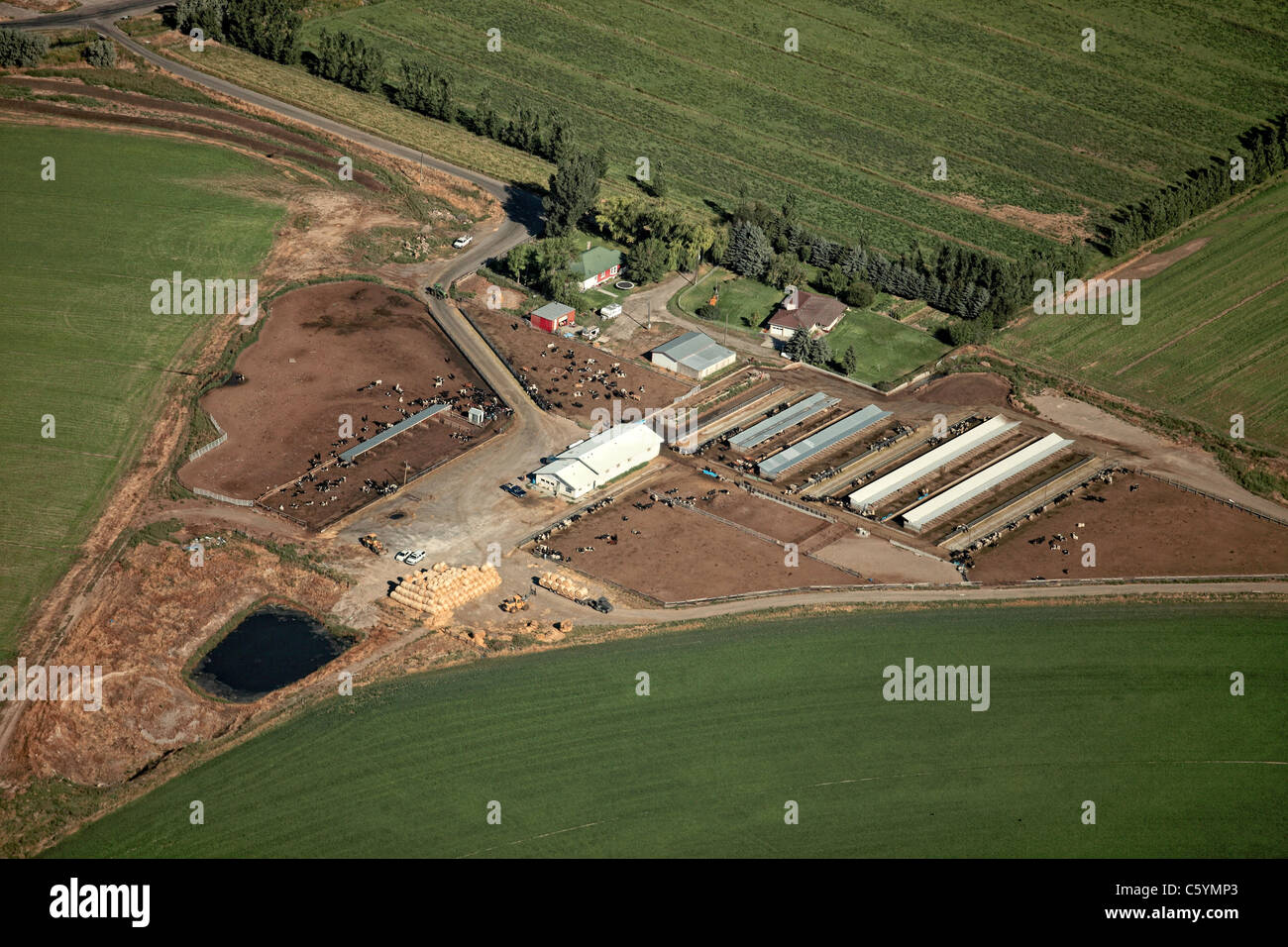 An overhead view of a dairy farm Stock Photo - Alamy