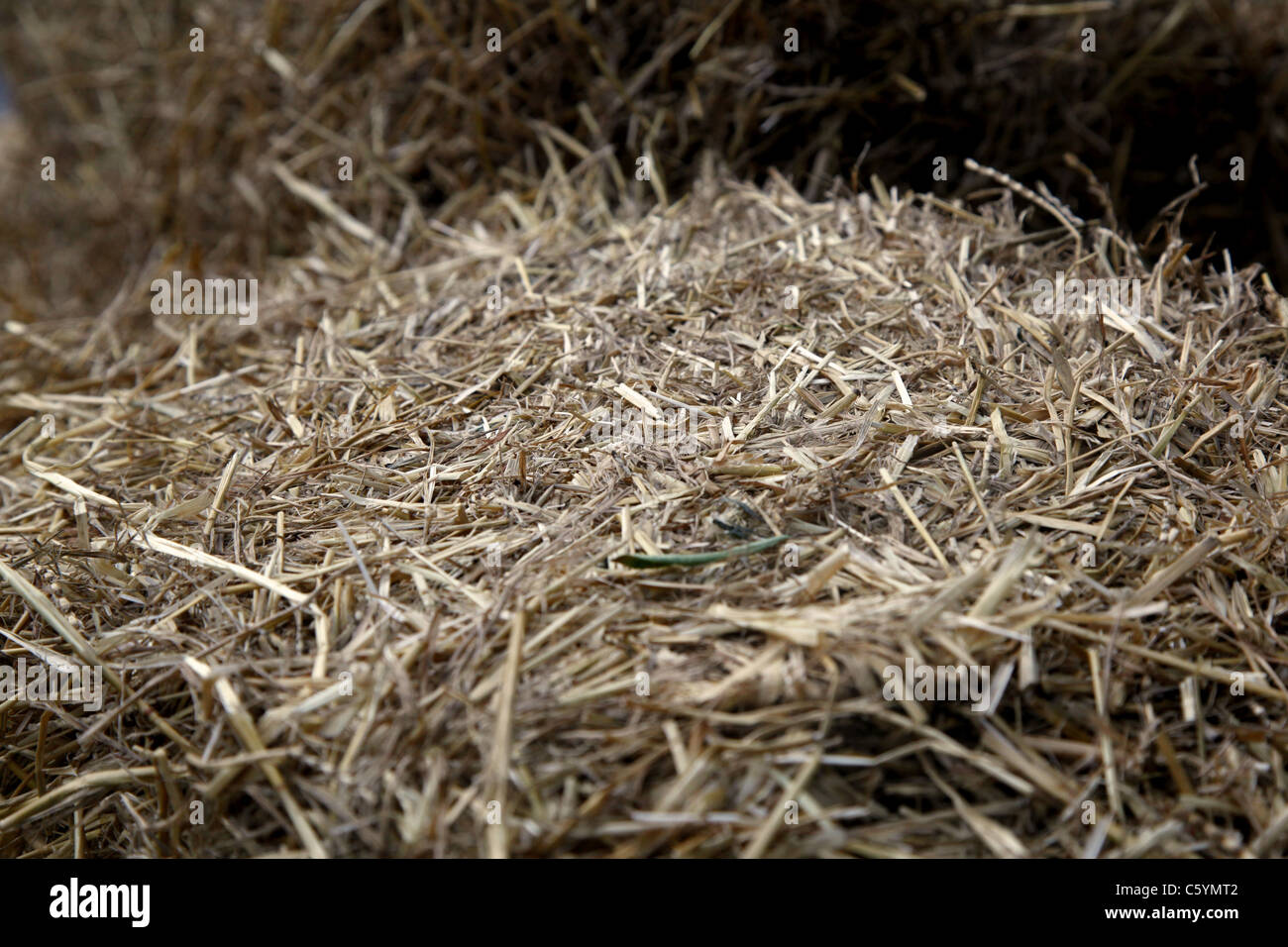 A detail of a square bale of dry hay Stock Photo - Alamy