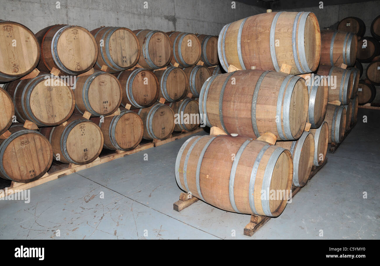 Two racks of wood hogshead barrels three high storing Malbec Wine in a ...