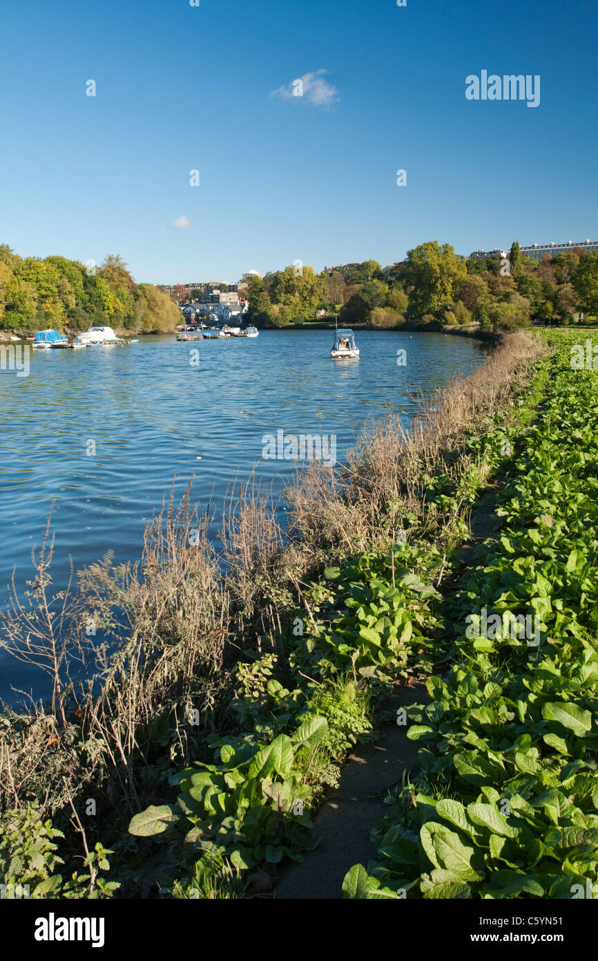 Path below hi-res stock photography and images - Alamy