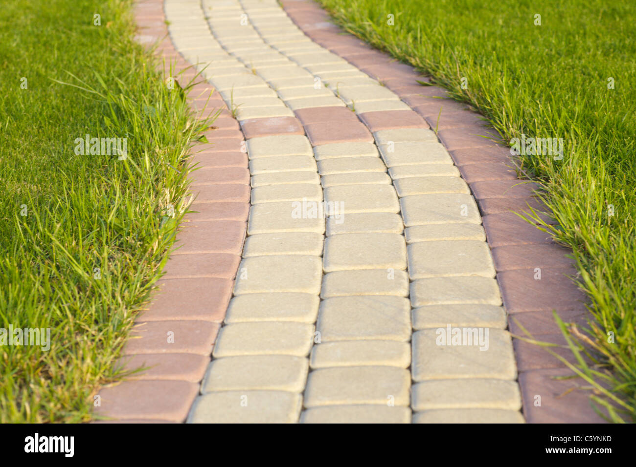 Garden stone path with grass growing up between and around stones ...
