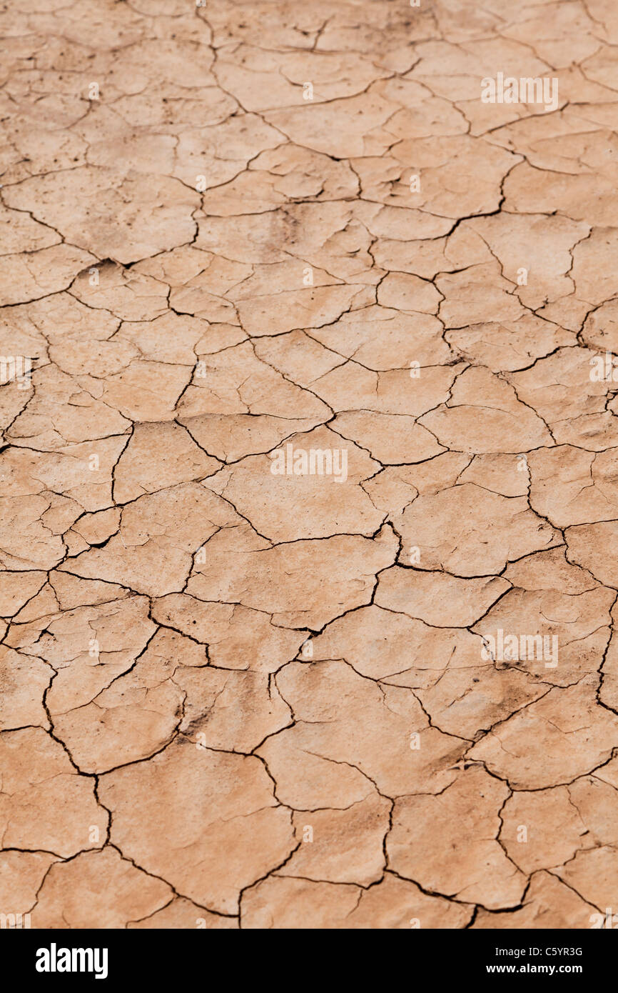 Is Arizona Dry at Jason Rocha blog
