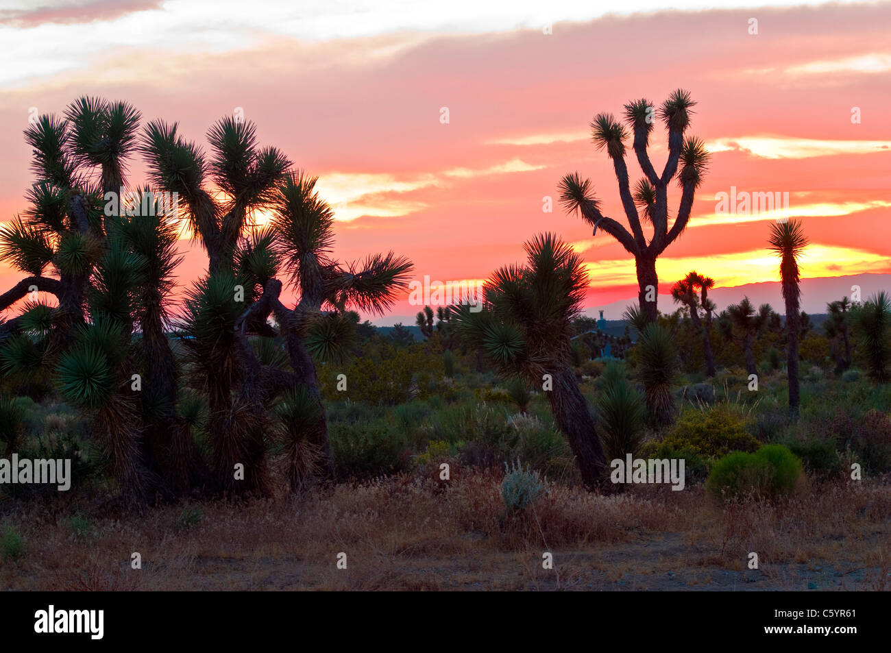 America california desert background hi-res stock photography and ...