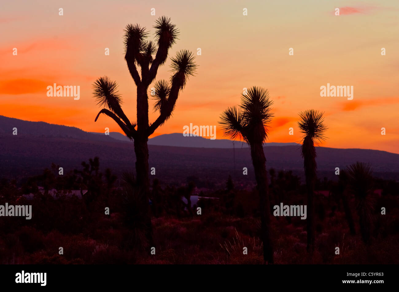 America california desert background hi-res stock photography and ...