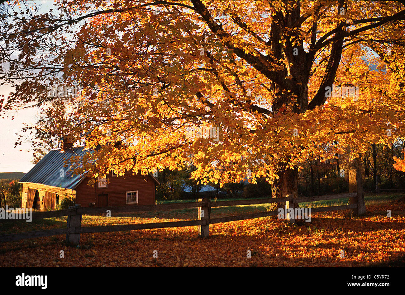 Autumn country scene in Connecticut, USA Stock Photo - Alamy