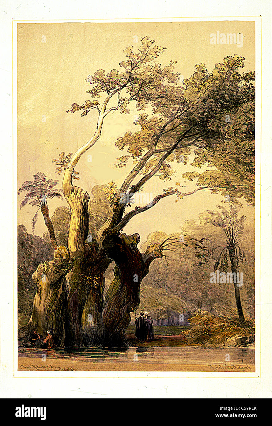 The holy tree, Metereah, Louis Haghe / David Roberts "The Holy Land ...