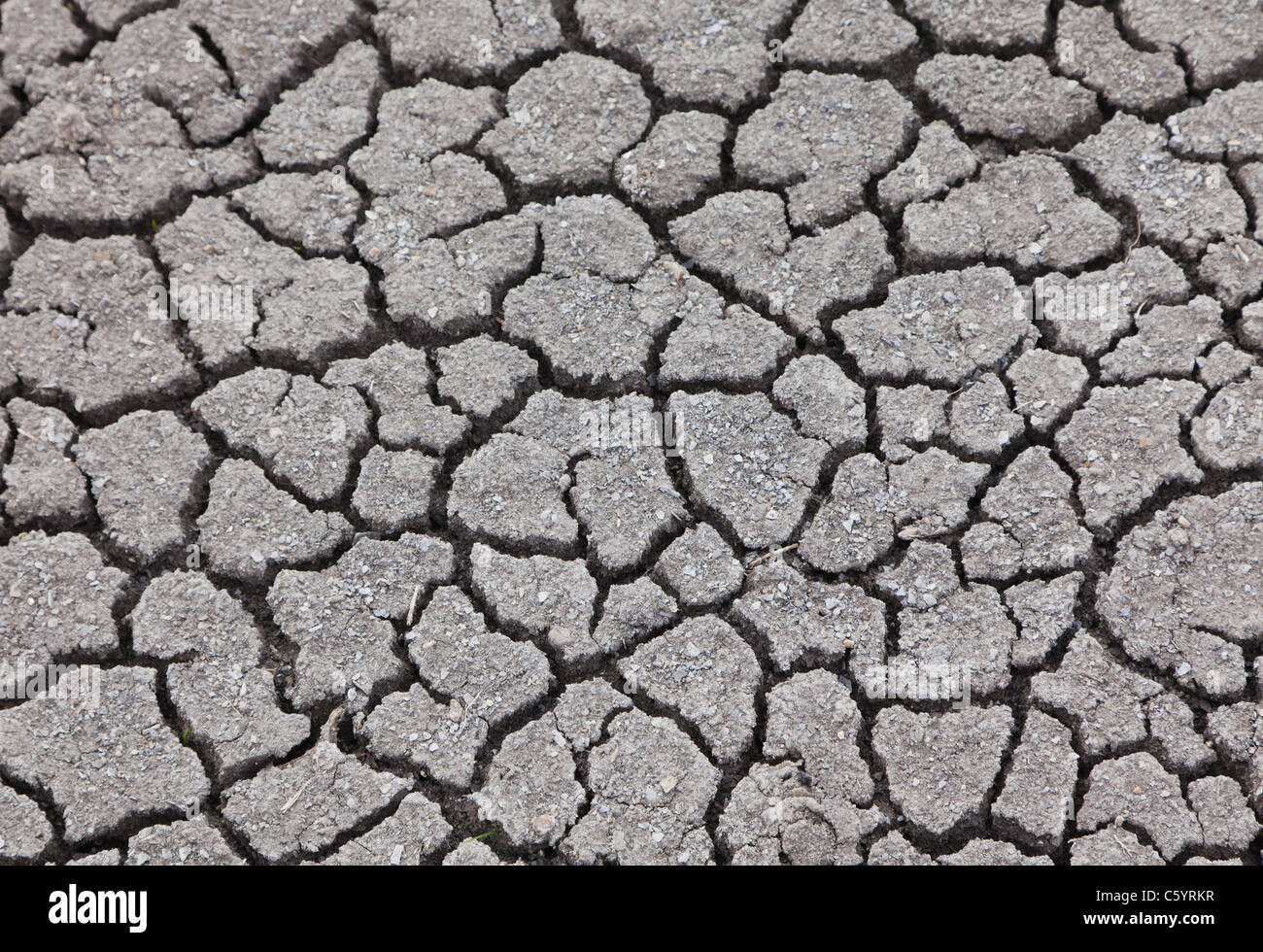 USA, New Mexico, cracked ground Stock Photo - Alamy