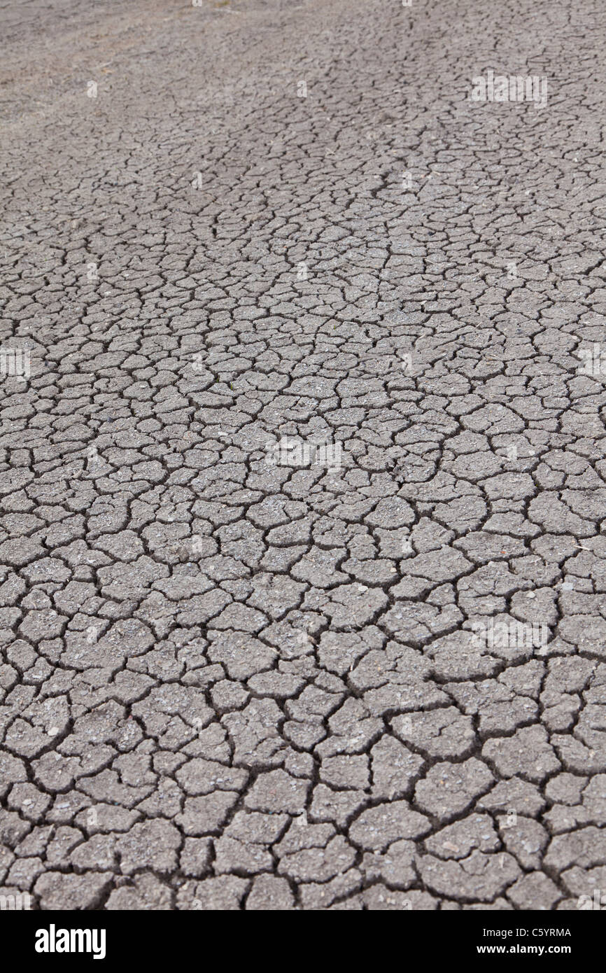 Cracked desert hi-res stock photography and images - Alamy