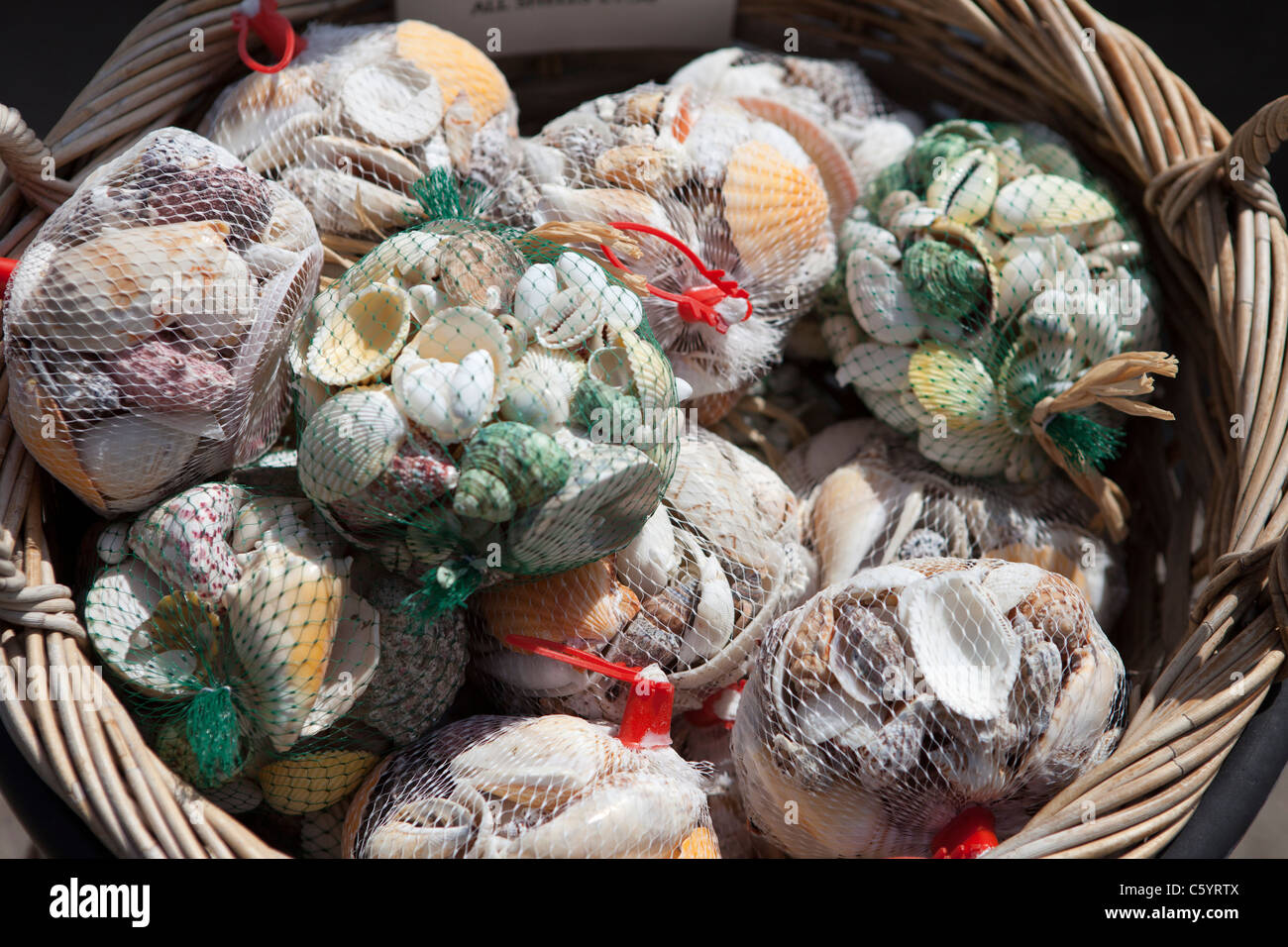Souvenir shells hi-res stock photography and images - Alamy