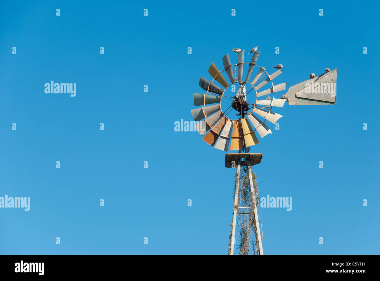 Traditional windmill pump extracting water from a well Stock Photo - Alamy